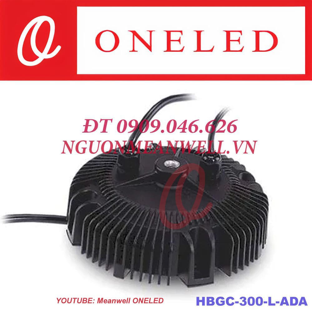 Bộ Nguồn Dạng Tĩnh HBGC-300-L-ADA - Meanwell 0909153888 HCM HN